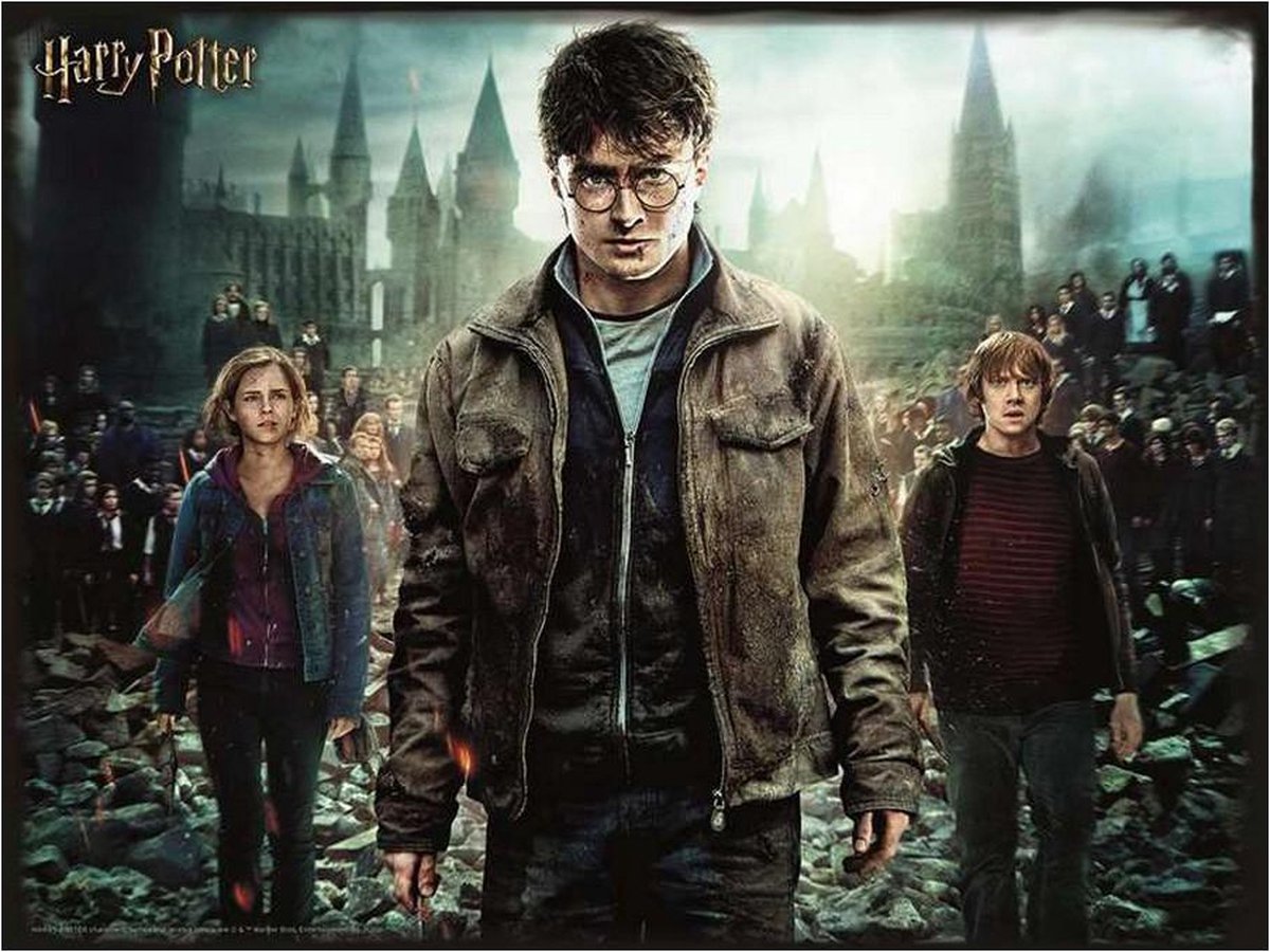 Harry Potter - Harry, Ron en Hermelien in de strijd Puzzel 500 stk ...