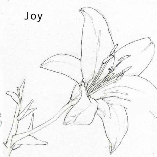 Joy Joy - Jazz CD uit 1976 - Geremasterd met extra nummers | bol