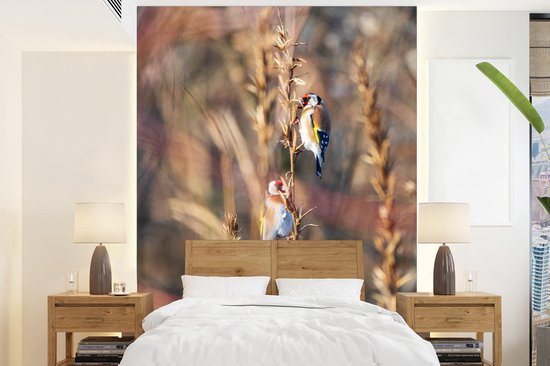 Behang - Fotobehang Vogels - Takken - Bos - Breedte 160 cm x hoogte 220 ...