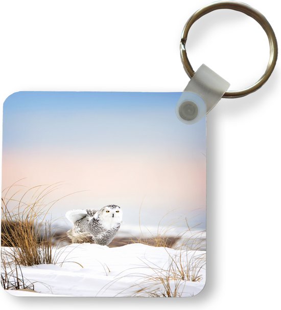Sleutelhanger - Uil - Dier - Sneeuw - Duin - Plastic | bol.com