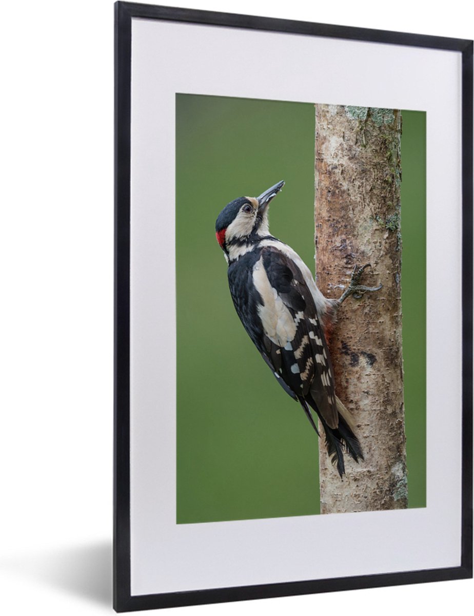 Fotolijst incl. Poster - Een grote bonte specht beklimt een boom ...
