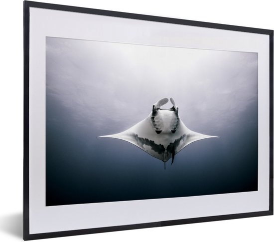 Fotolijst incl. Poster - Vissen - Water - Tropische vissen - 40x30 cm ...