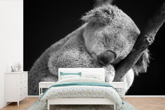 Behang - Fotobehang Koala - Tak - Zwart - Kids- Jongens - Meisjes ...