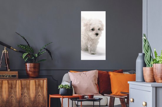 Muurstickers - Sticker Folie - Schattige kleine Maltezer hond - 40x80 cm - Plakfolie -... | bol