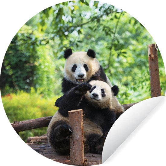 Sticker papier peint cercle mural deux pandas - ⌀ 120 cm - peinture ...