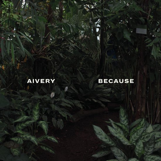 Aivery - Because (LP), Aivery | LP (album) | Muziek | bol