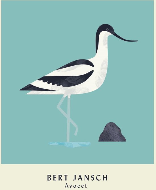 Bert Jansch - Avocet (Library Edition) (LP), Bert Jansch | LP (album) | Muziek | bol.com