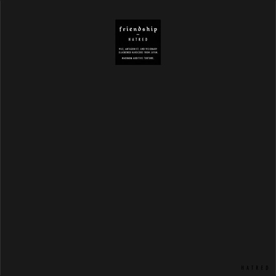 Friendship - Hatred (LP), Friendship | Muziek | bol