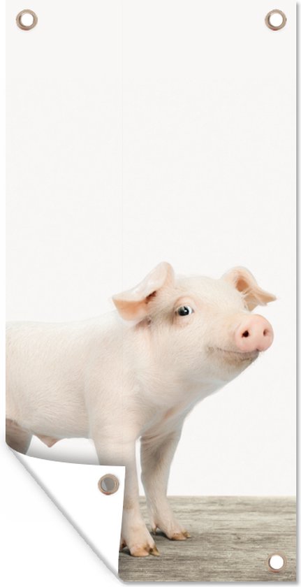 Poster de jardin Cochon - Grand - Animaux - Rose - Garçons - Filles ...