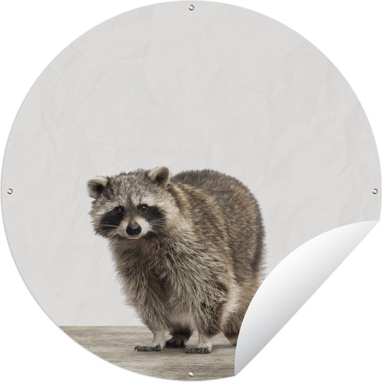 Tuincirkel Wasbeer - Dieren - witte achtergrond -Jongens - Meisjes ...