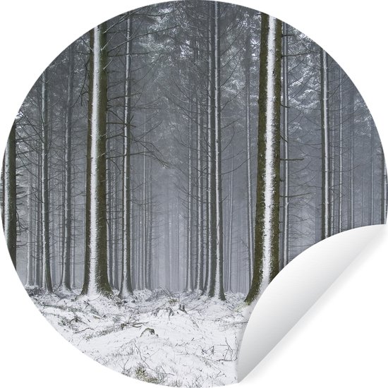 WallCircle - Muurstickers - Behangcirkel - Bomen - Winter - Sneeuw - 100x100 cm -... | bol.com