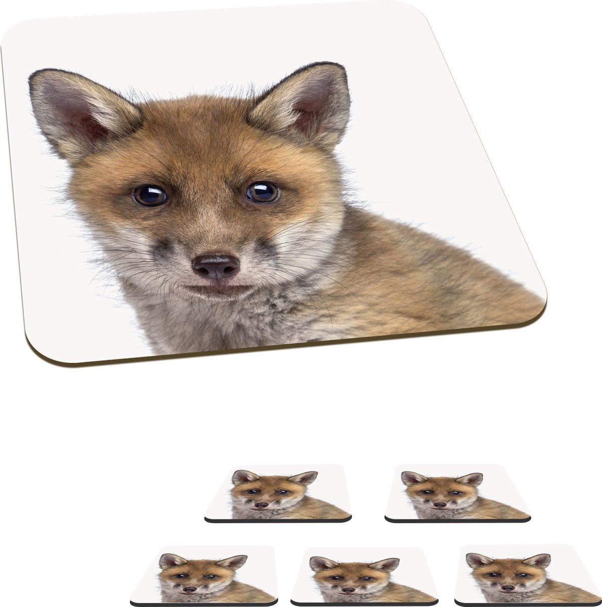 Onderzetters voor glazen - Babykamer - Vossen jong - Baby vos - Welp ...