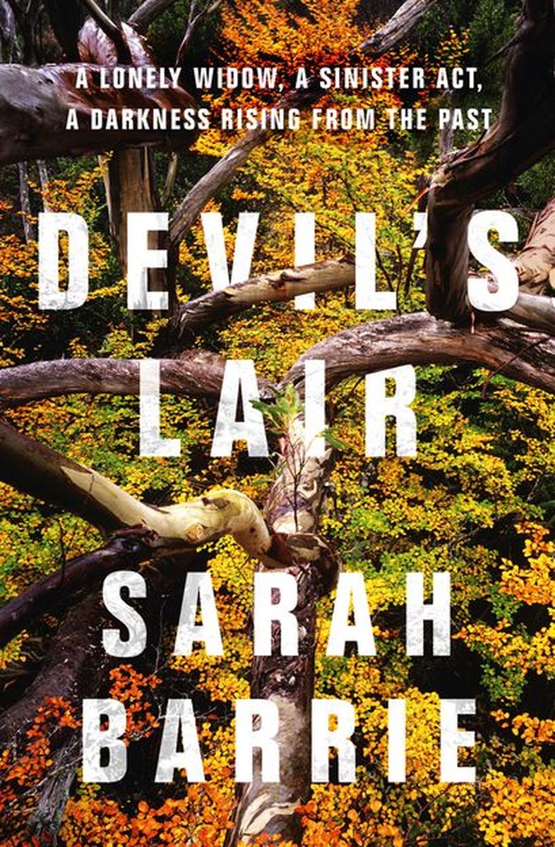 Calico Mountain 2 - Devil's Lair (ebook), Sarah Barrie | 9781489255280 ...