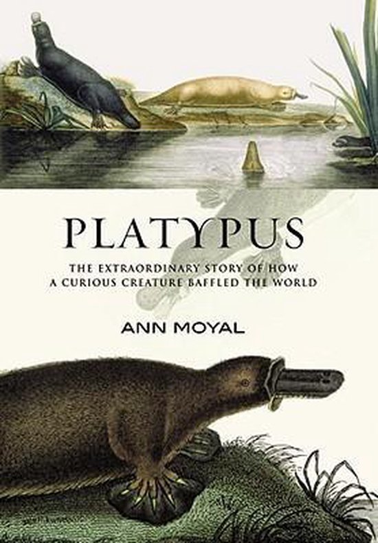 Platypus, Ann Moyal | 9781560989776 | Boeken | bol.com