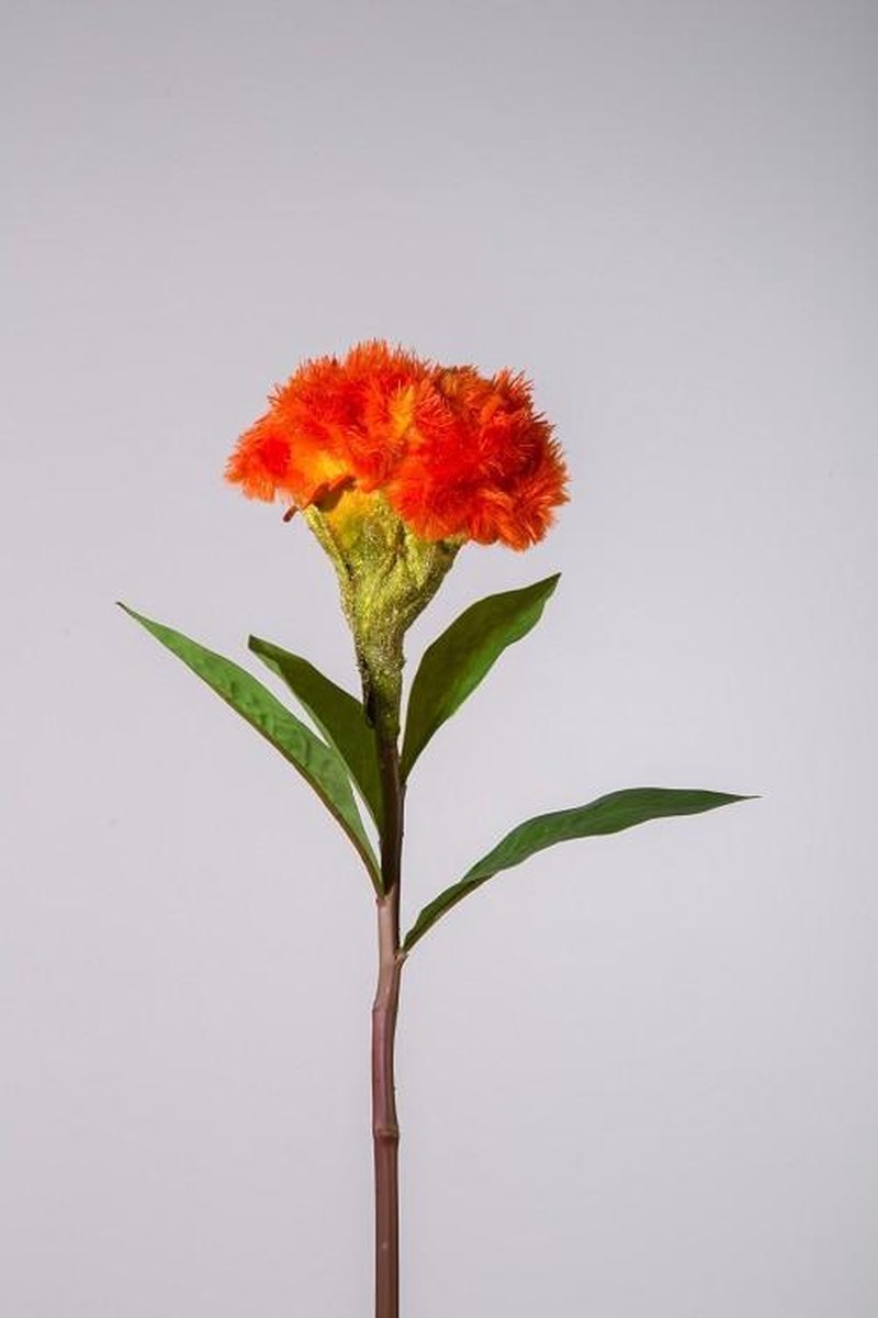 Hanekam - oranje - zijden bloem - topkwaliteit - 55cm | bol.com