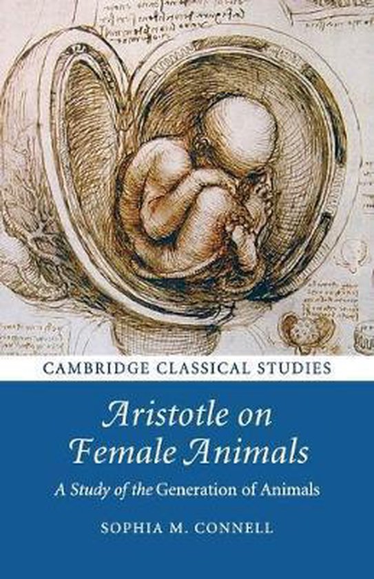 Cambridge Classical Studies | 9781316501795 | Sophia M. Connell ...