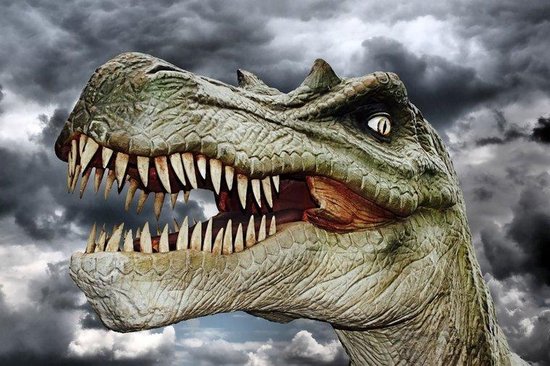 DP® Diamond Painting pakket volwassenen - Afbeelding: Dinosaurus T-Rex ...