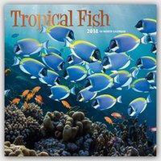 Tropical Fish 2018 Wall Calendar | bol.com