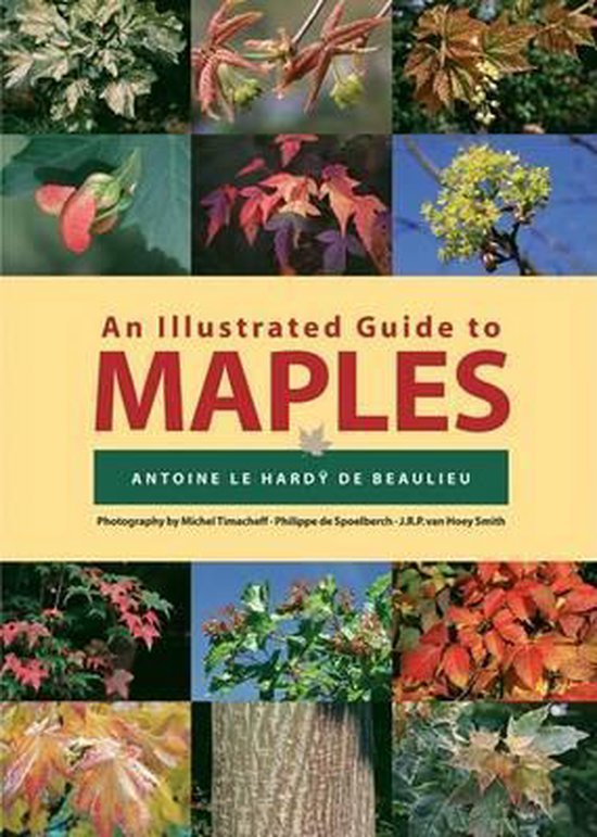 An Illustrated Guide to Maples, J.R.P.Van Hoey Smith | 9780881926019 ...
