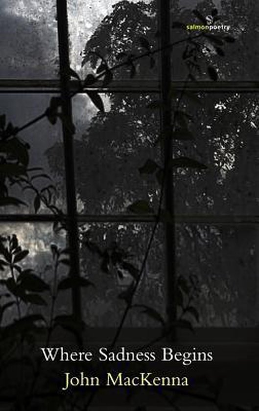 Where Sadness Begins, John Mackenna | 9781908836113 | Boeken | bol.com