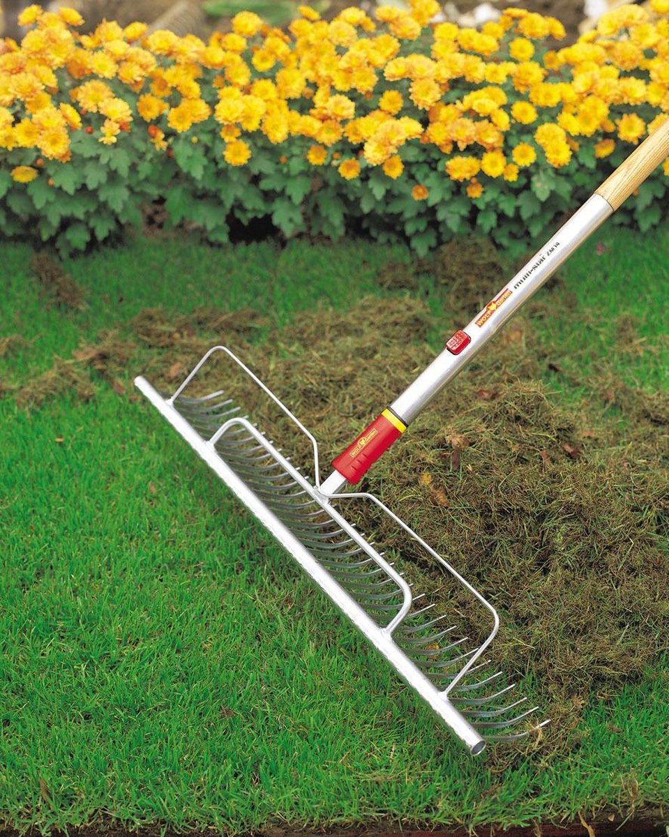 WOLF-Garten Gazonhark UH-M 60 - werkbreedte 58 cm - brede hark | bol.com