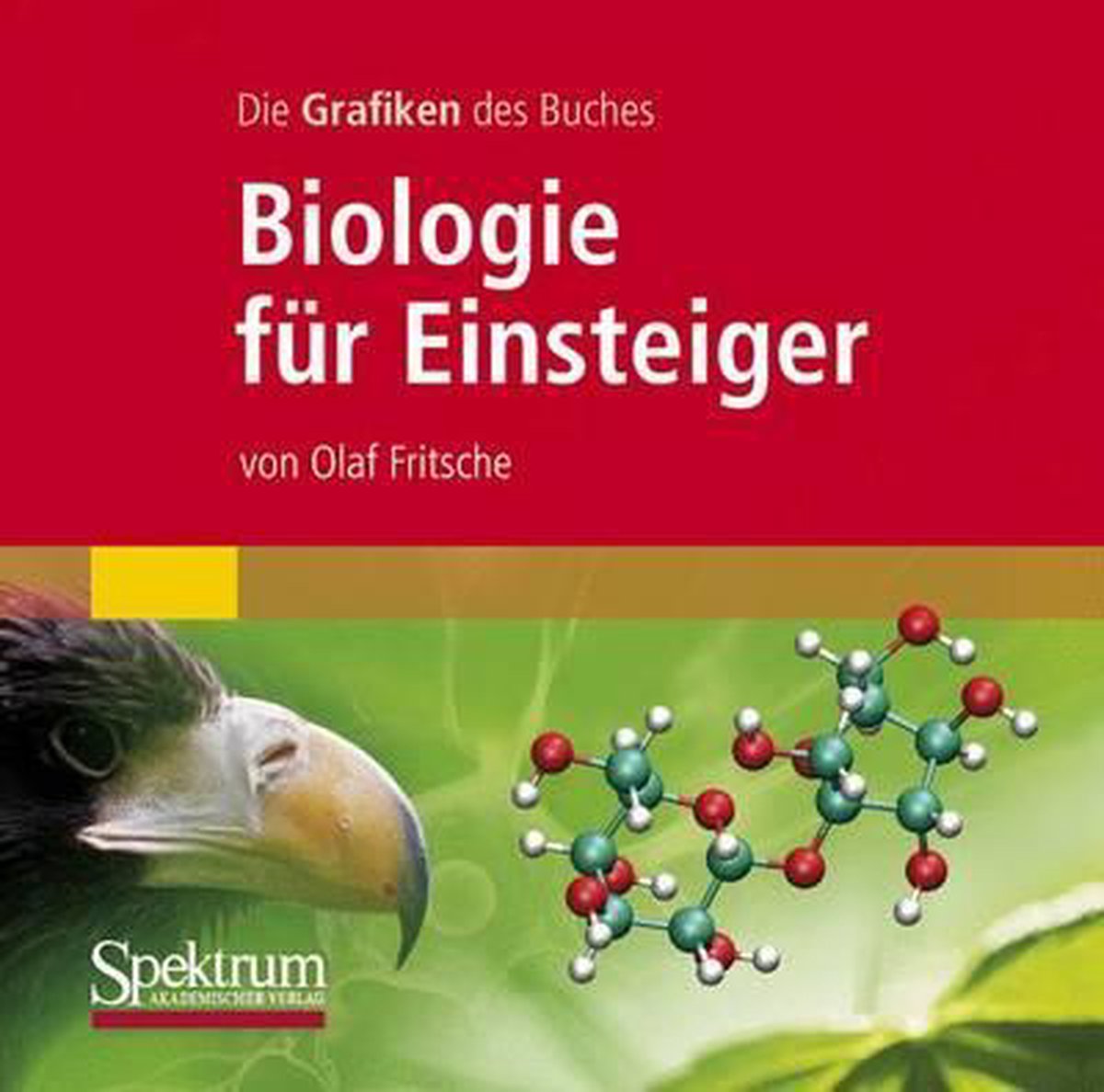 Alle Grafiken des Buches Biologie fuer Einsteiger | 9783827427502 ...