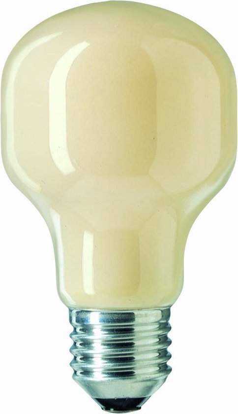 Philips Softone 25W E27 230V T55 FB 1CT F | bol.com