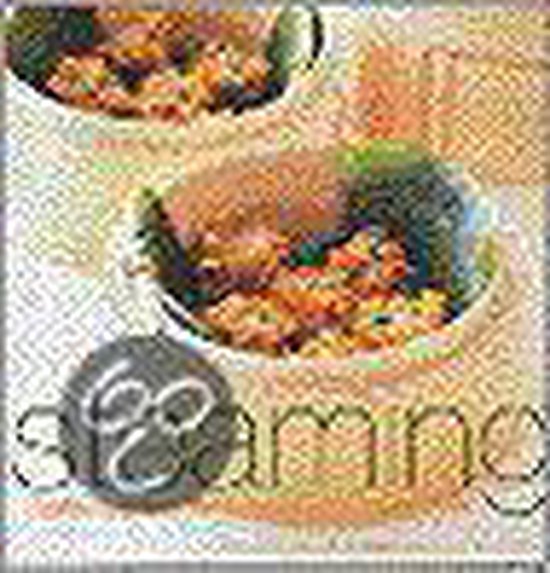 Steaming, Elsa Petersen-Schepelern | 9781841722887 | Boeken | bol