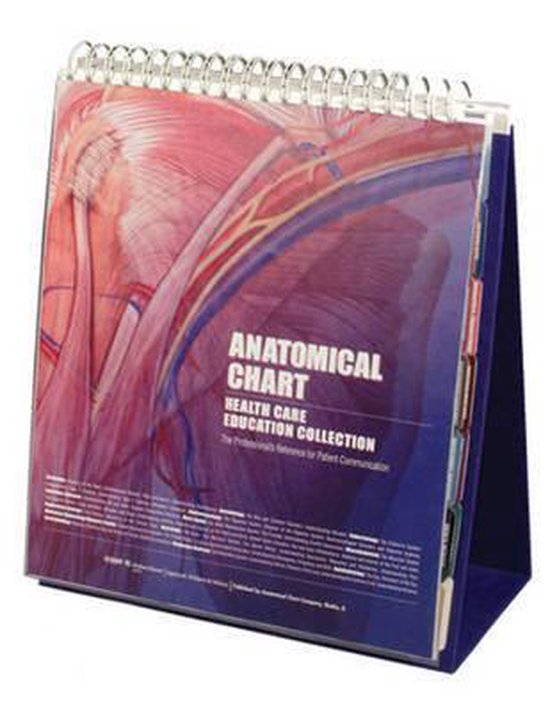 Anatomical Chart Healthcare Education Collection, Anatomical Chart Co ...