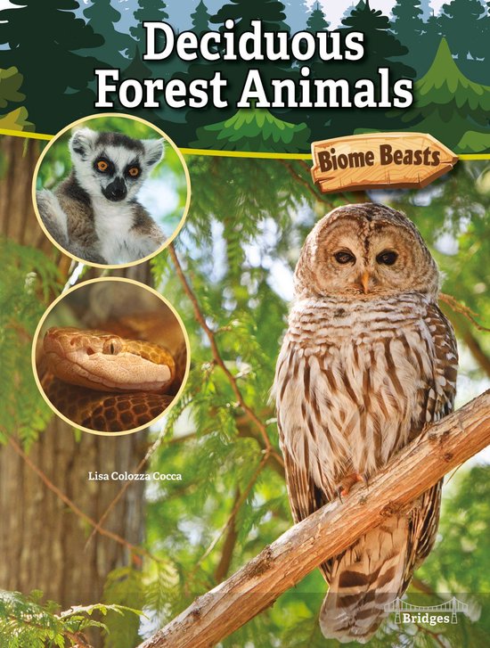 Biome Beasts - Deciduous Forest Animals (ebook), Lisa Colozza Cocca ...