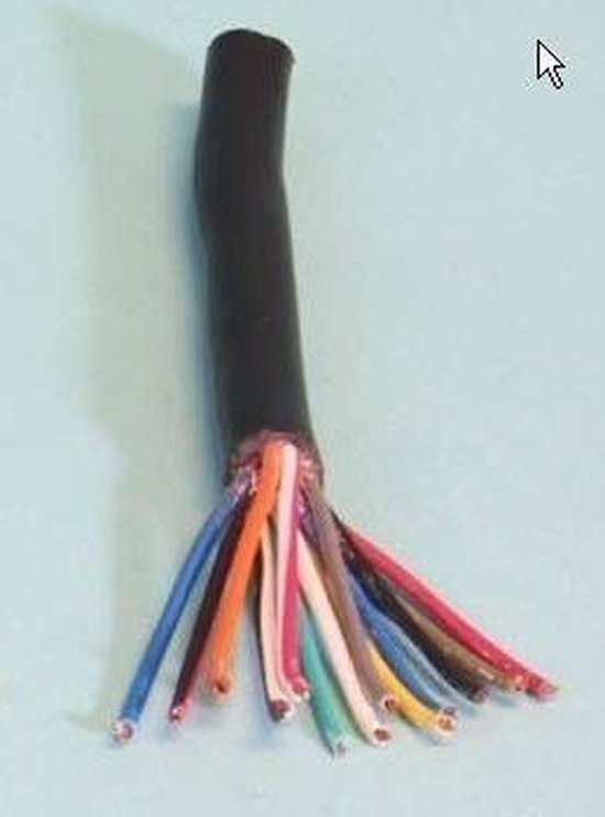 13-Aderige Kabel 5mtr | bol