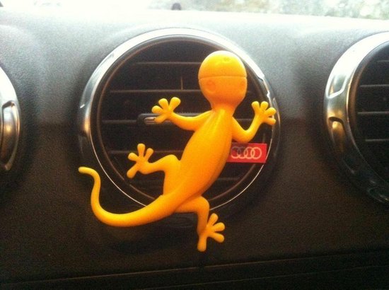 Audi Geur Gekko Geel | bol