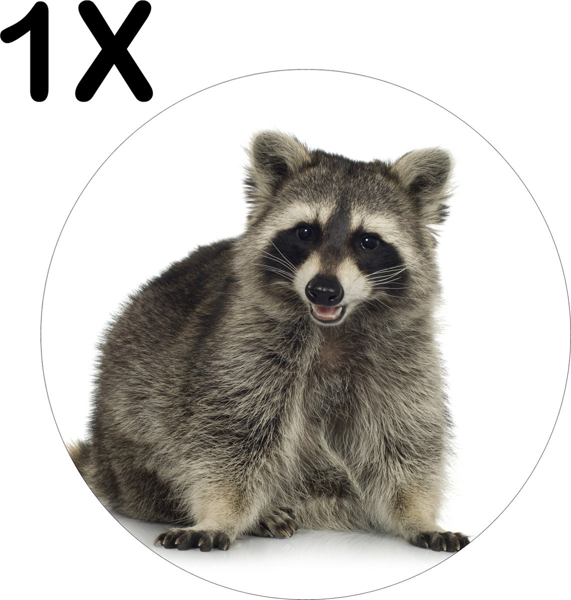 BWK Flexibele Ronde Placemat - Dier - Wasbeer - Schattig - Set van 1 ...