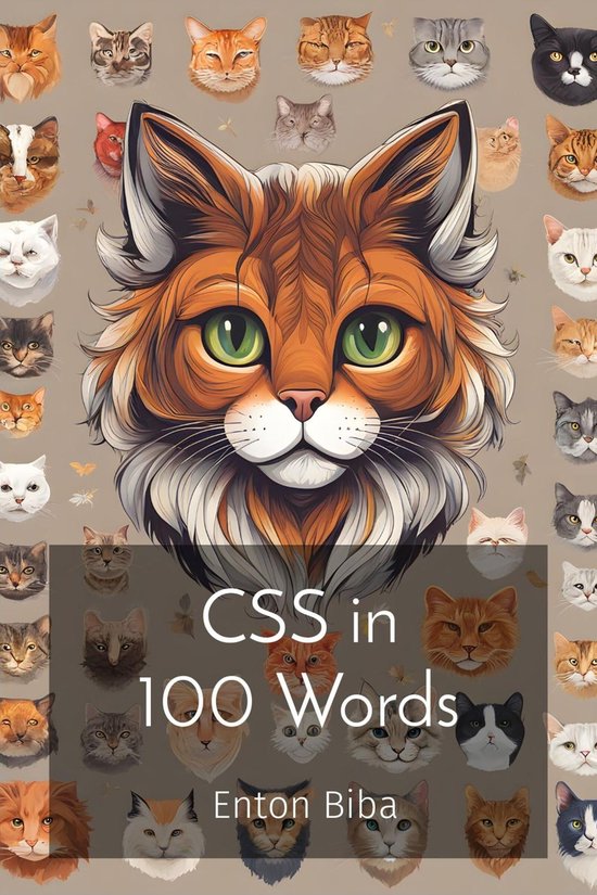 CSS in 100 Words (ebook), Enton Biba | 9781738915118 | Boeken | bol.com