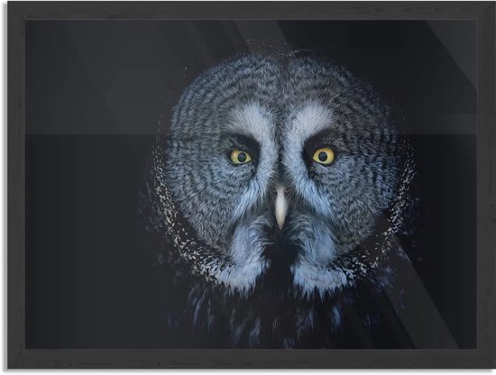 Poster Uil Hoofd Close Up Rechthoek Horizontaal Met Lijst L (50 X 40 CM ...