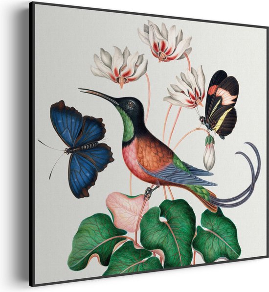 Akoestisch Schilderij Prent Natuur Vogel en Bloemen 07 Vierkant Basic XXL (140 X 140... | bol