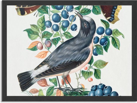 Poster Prent Natuur Vogel en Bloemen 06 Rechthoek Horizontaal Met Lijst ...