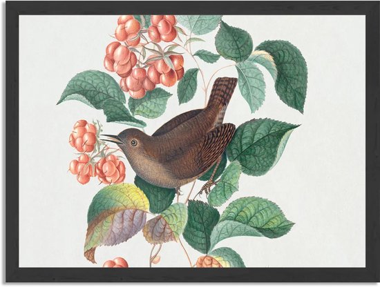 Poster Prent Natuur Vogel en Bloemen 08 Rechthoek Horizontaal Met Lijst ...