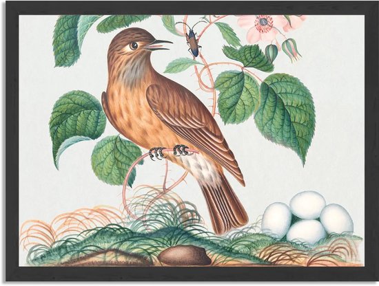 Poster Prent Natuur Vogel en Bloemen 01 Rechthoek Horizontaal Met Lijst ...