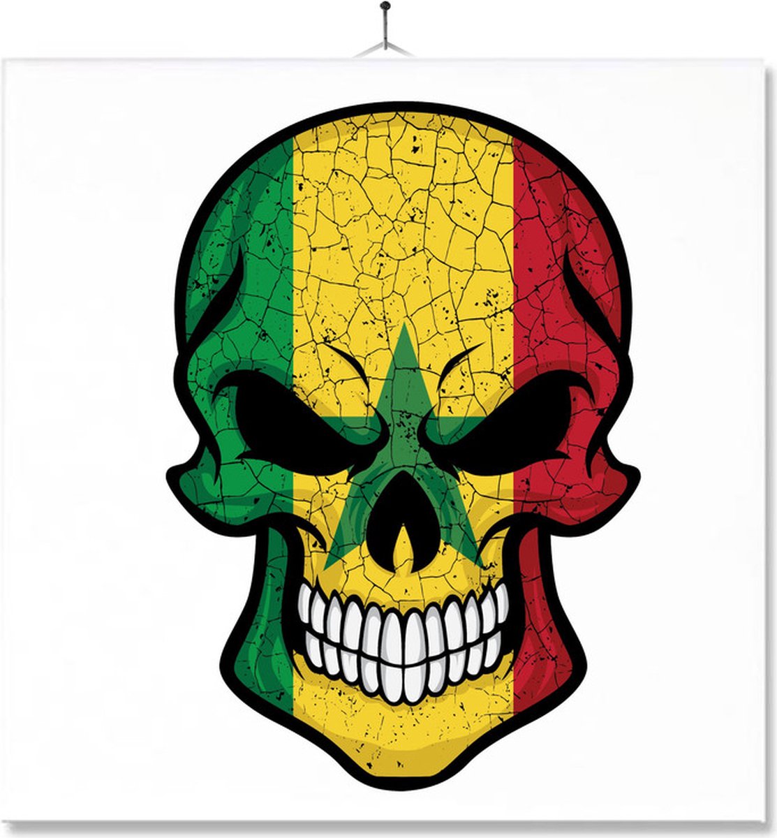 Tegel Met Opdruk | Schedel | Vlag | Senegal | bol