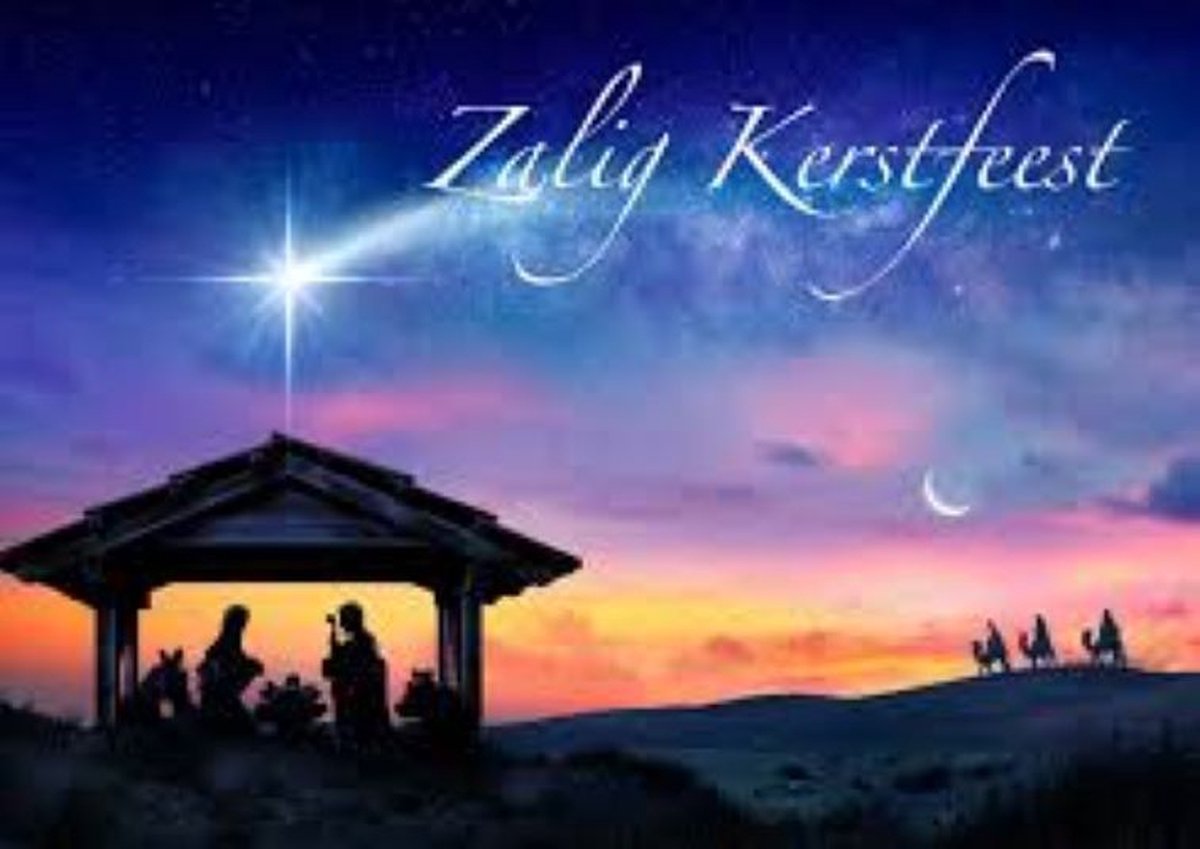 Kerstkaart Zalig Kerstfeest - 25 stuks - nr. 13 | bol