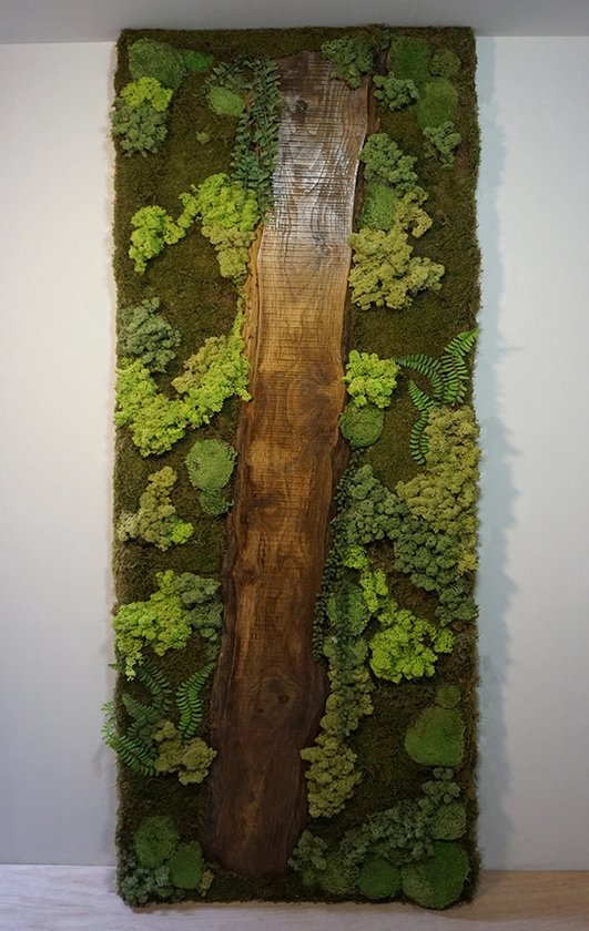 Forest, 3D mos schilderij - wandpaneel | bol