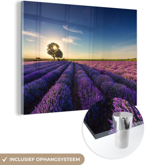 MuchoWow - Glasschilderij - Foto op glas - Lavendel - Bloemen - Boom ...