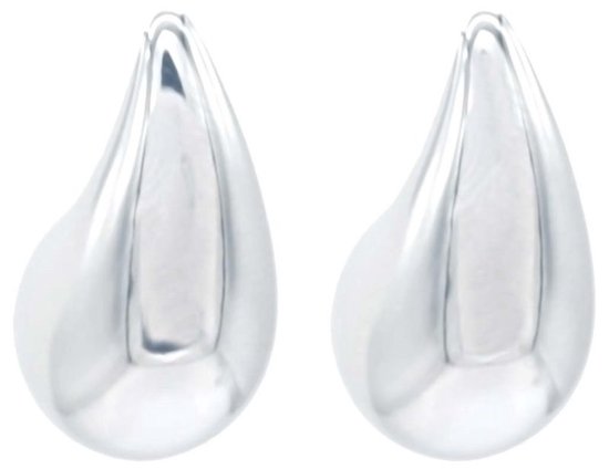 Oorbellen Druppel - RVS - 2,5 cm - Zilverkleurig | bol