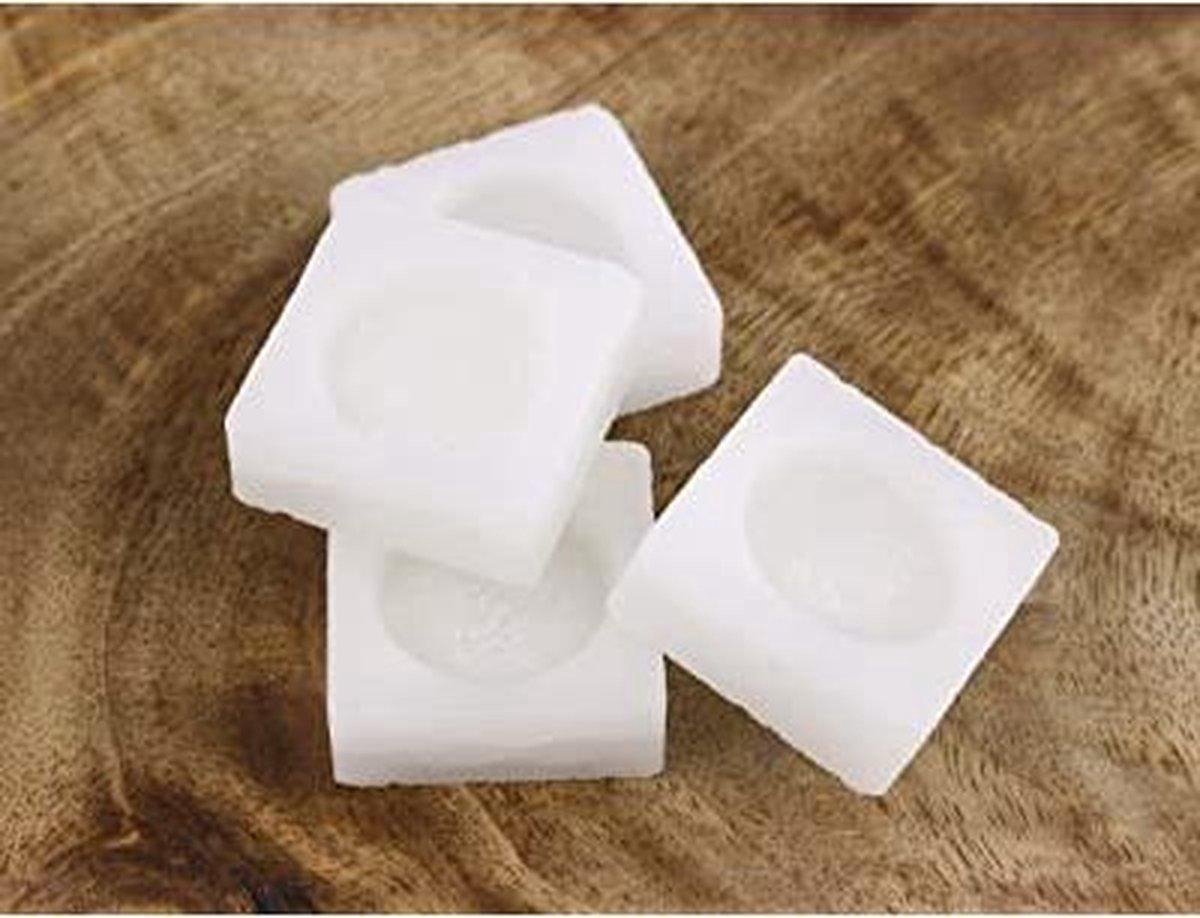 Kamfer Tabletten - Camphor Refined Tablets - 20 stuks | bol