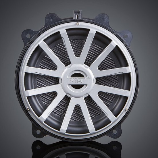 Tesla model-3 20cm subwoofers voordeur (set van 2) | bol.com