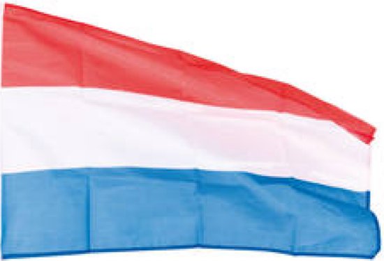 Drapeau néerlandais 90cm | bol.com