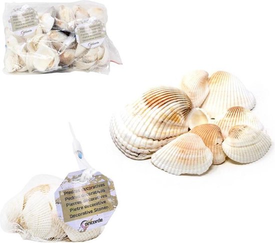 2x zakjes decoratie/hobby schelpen 100 gram - Maritiem/zee/strand thema ...