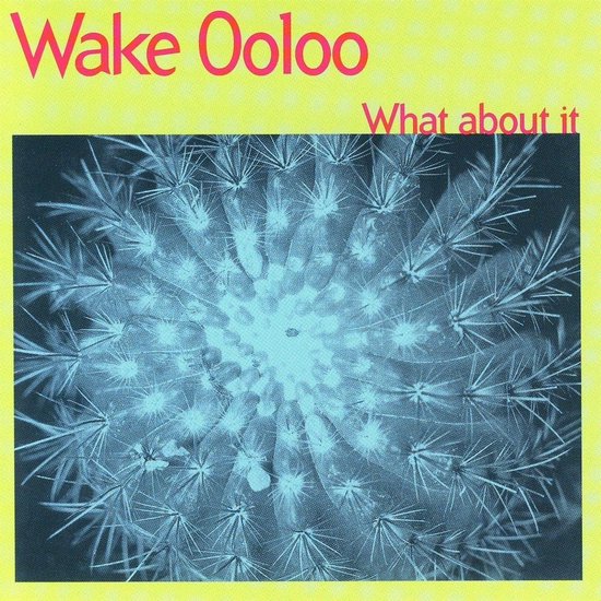 Wake Ooloo - What About It (CD), Wake Ooloo | CD (album) | Muziek | bol