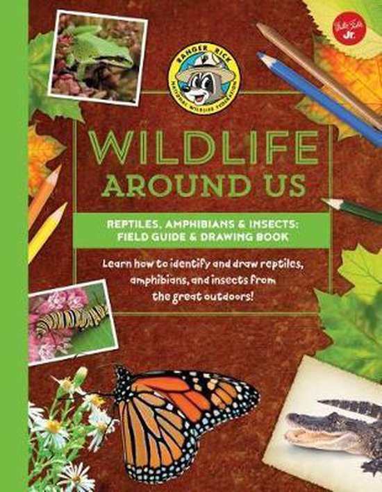 Reptiles, Amphibians & Insects--Field Guide & Drawing Book, Walter ...